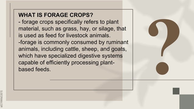 16. forage-crop-original-1.pptx......... | PPTX | Gardening | Home & Garden