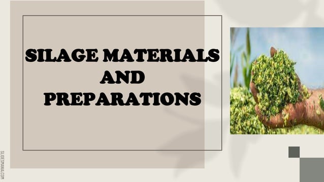 16. forage-crop-original-1.pptx......... | PPTX | Gardening | Home & Garden