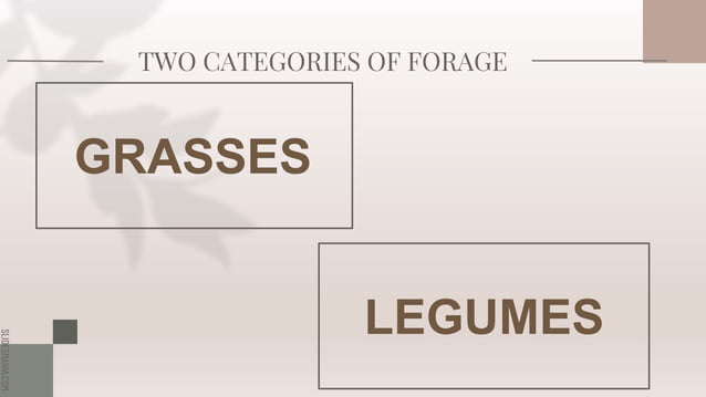16. forage-crop-original-1.pptx......... | PPTX | Gardening | Home & Garden