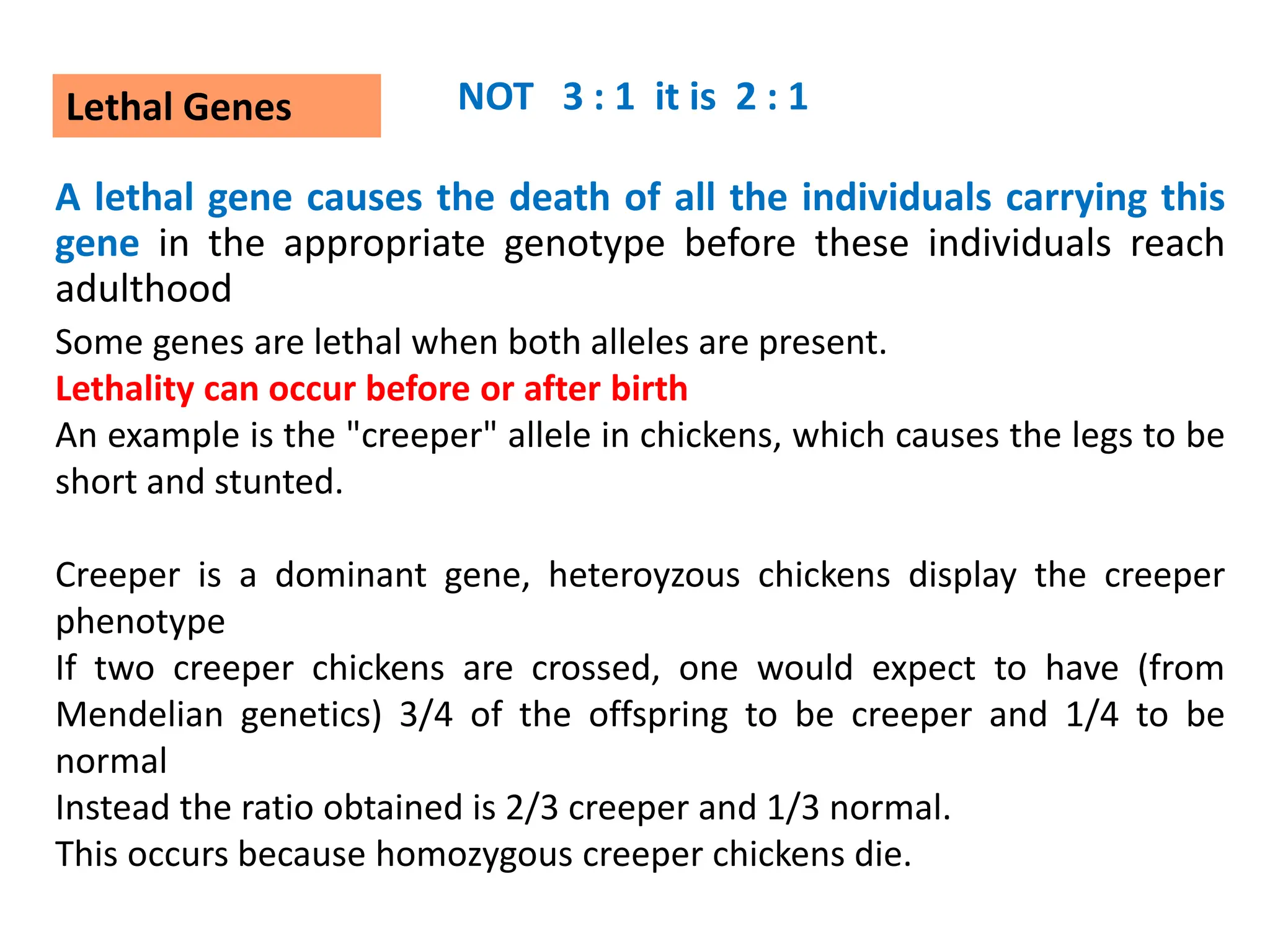16. Lecture 16 Lethel genes, pleiotropy.ppt