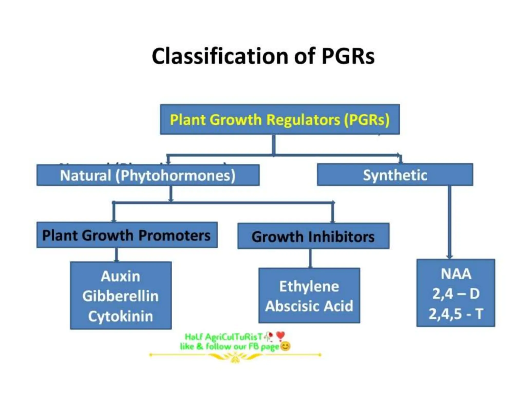 16. Discovery, function and commercial uses of different PGRS.pptx
