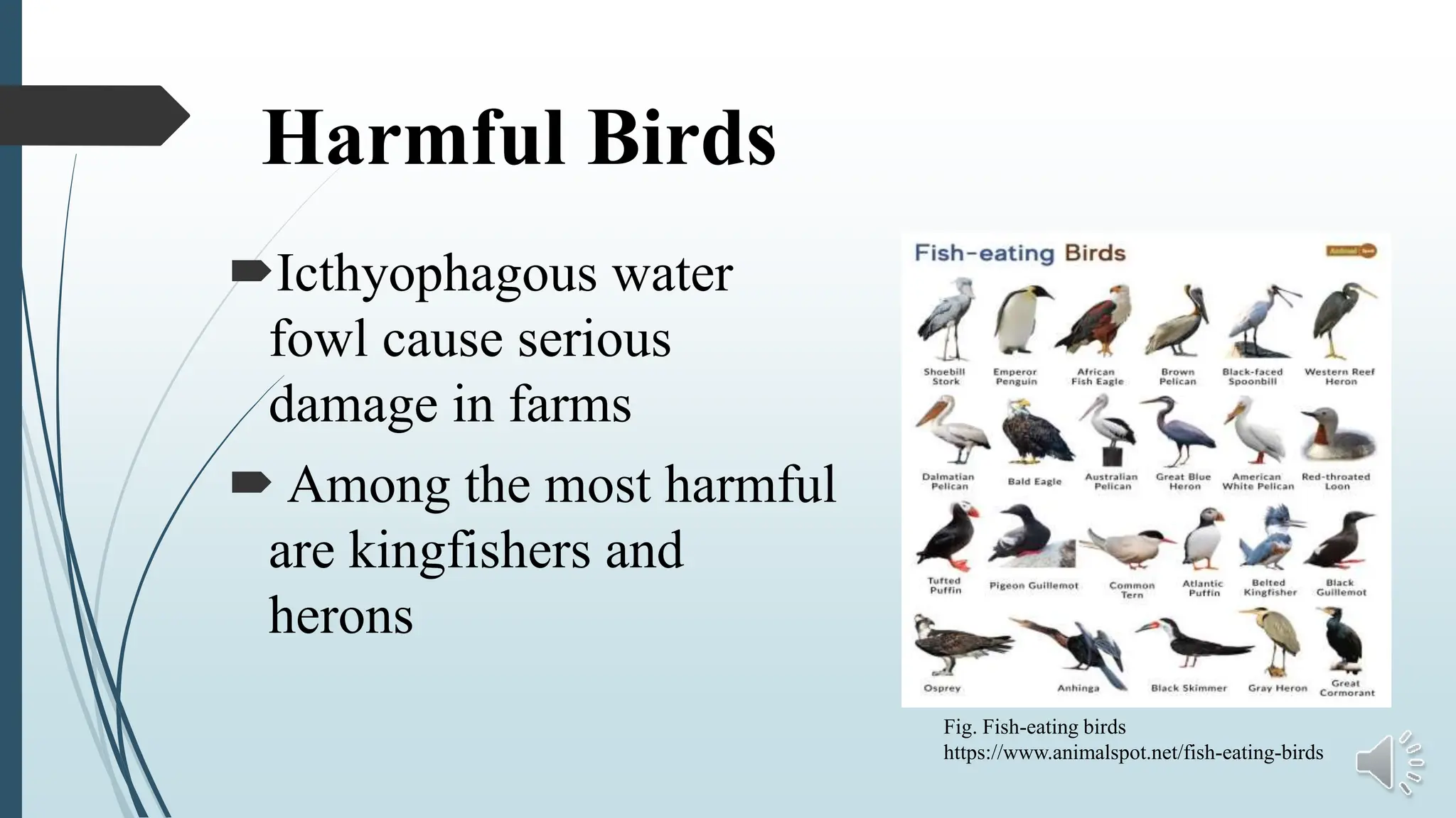 Fish enemies and their control in aquaculture | PPTX