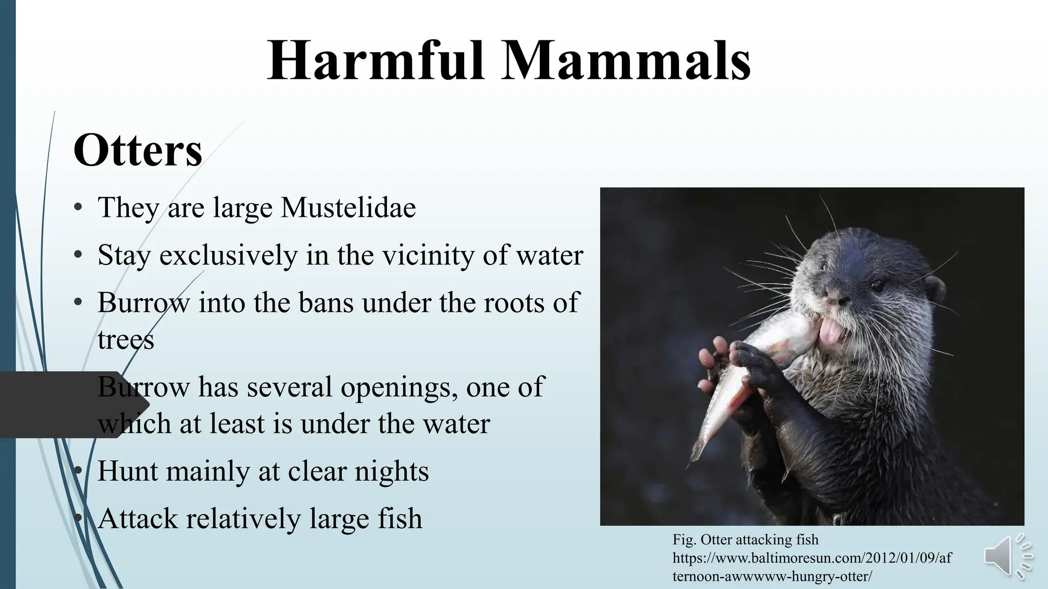 Fish enemies and their control in aquaculture | PPTX