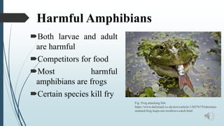 Fish enemies and their control in aquaculture | PPTX