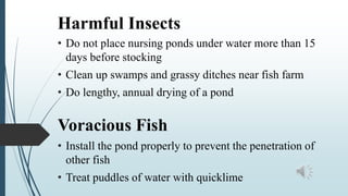 Fish enemies and their control in aquaculture | PPTX