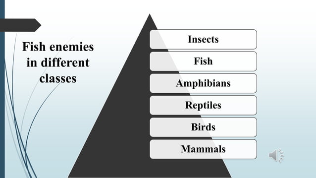 Fish enemies and their control in aquaculture | PPTX