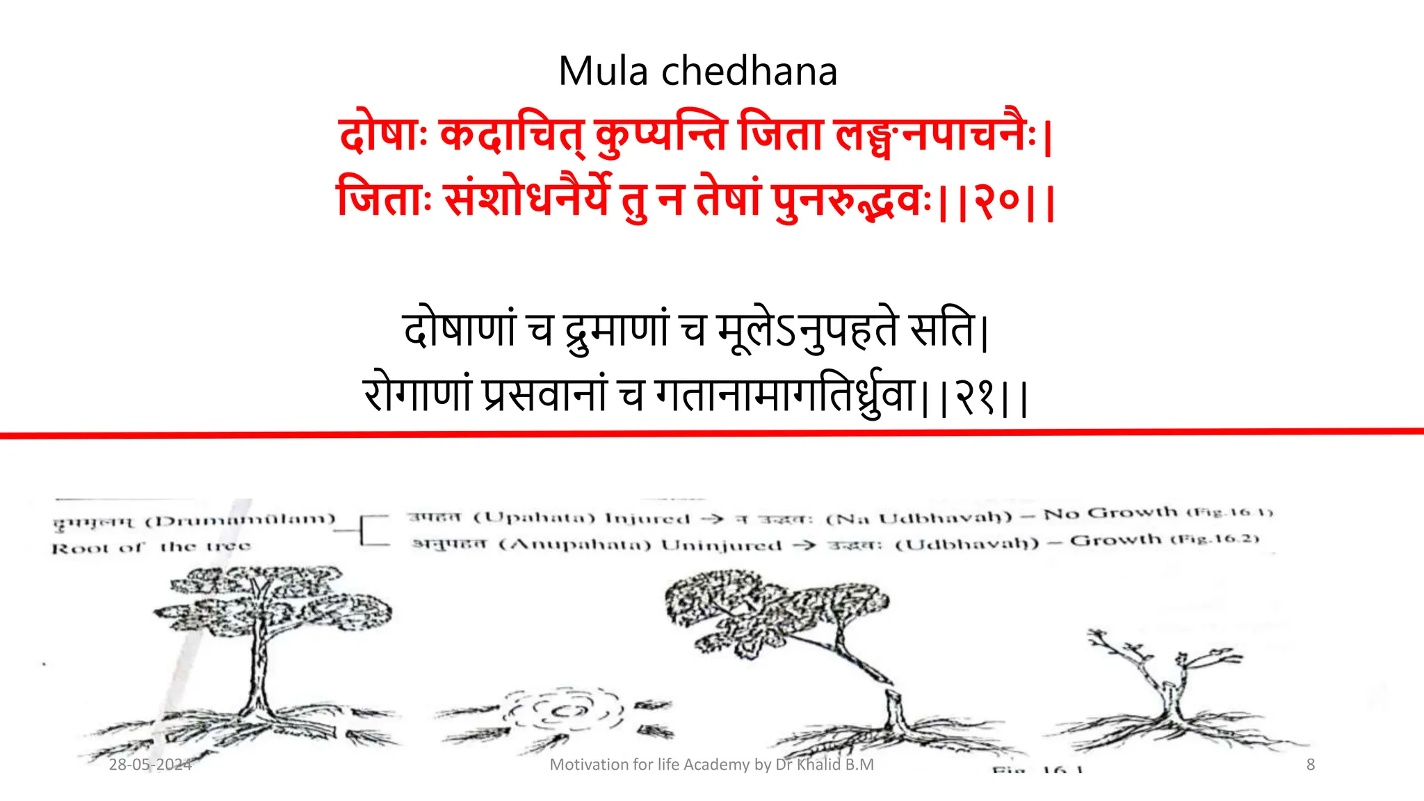Charaka Samhita Sutra Sthana Chapter 16 Chikitsaprabhuityaadhyaya | PPTX