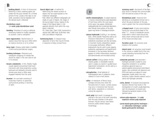 16. Glossary of endodontic terms (Inglés) Autor The EndoExperience.pdf