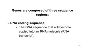 DPT - Biochemistry & Genetics - II (Molecular Biology) Prokaryotic Transcription | PPT