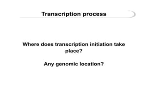 DPT - Biochemistry & Genetics - II (Molecular Biology) Prokaryotic ...