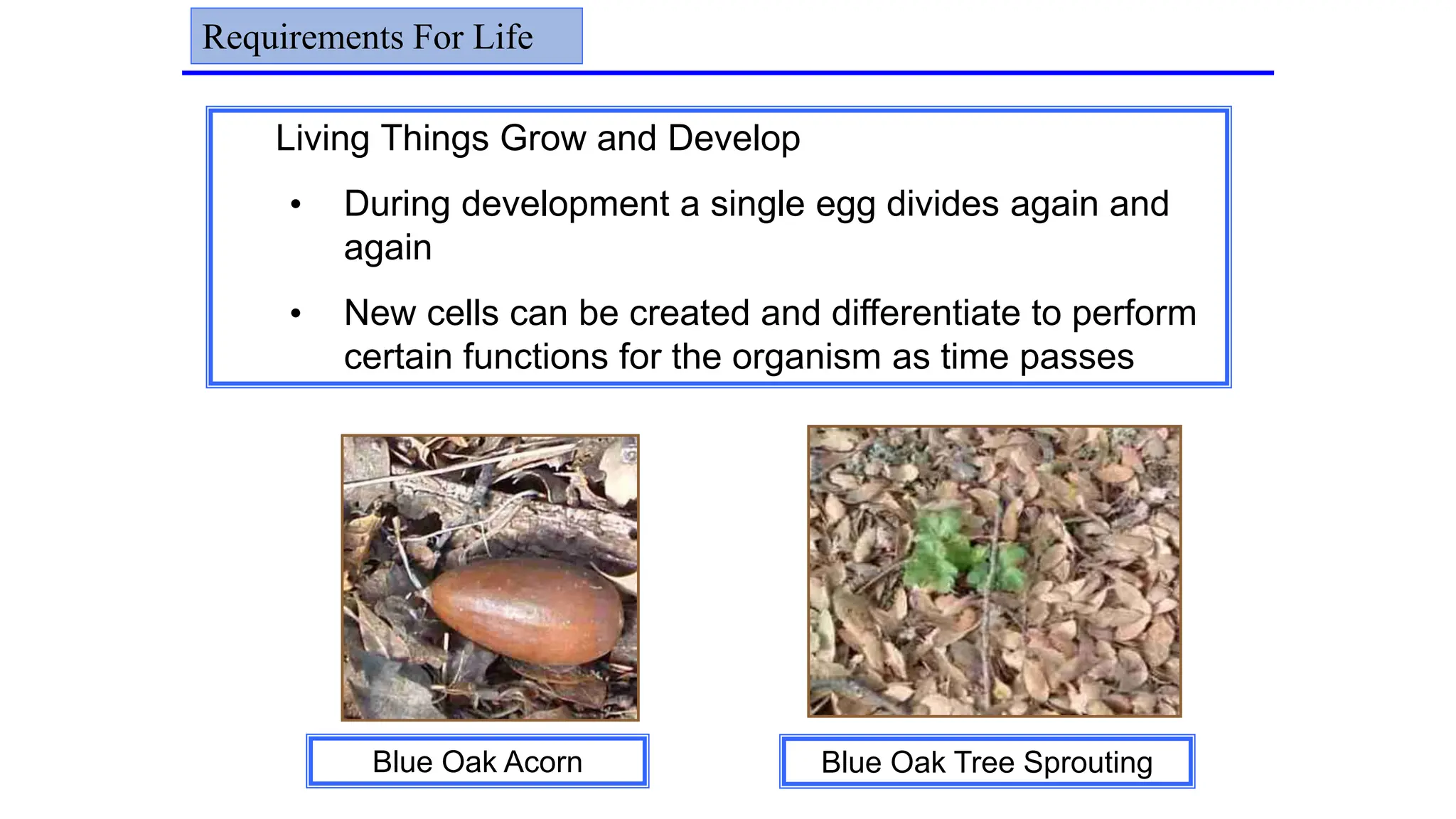 Basic concepts of biology Basic definition branches Main branches cell ...