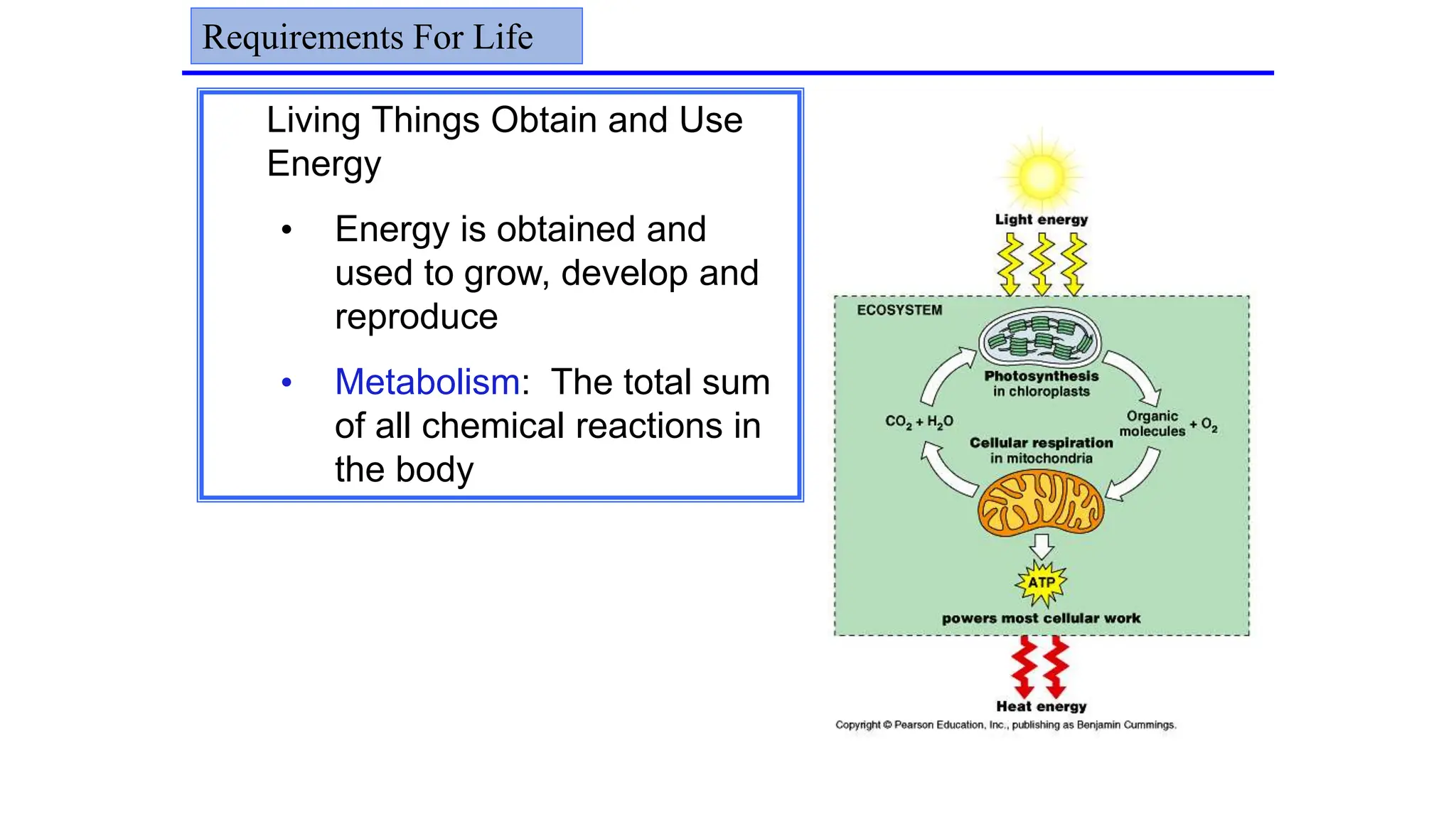 Basic concepts of biology Basic definition branches Main branches cell ...