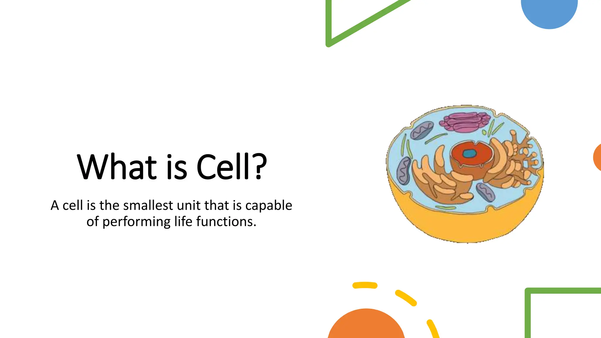 Basic concepts of biology Basic definition branches Main branches cell ...