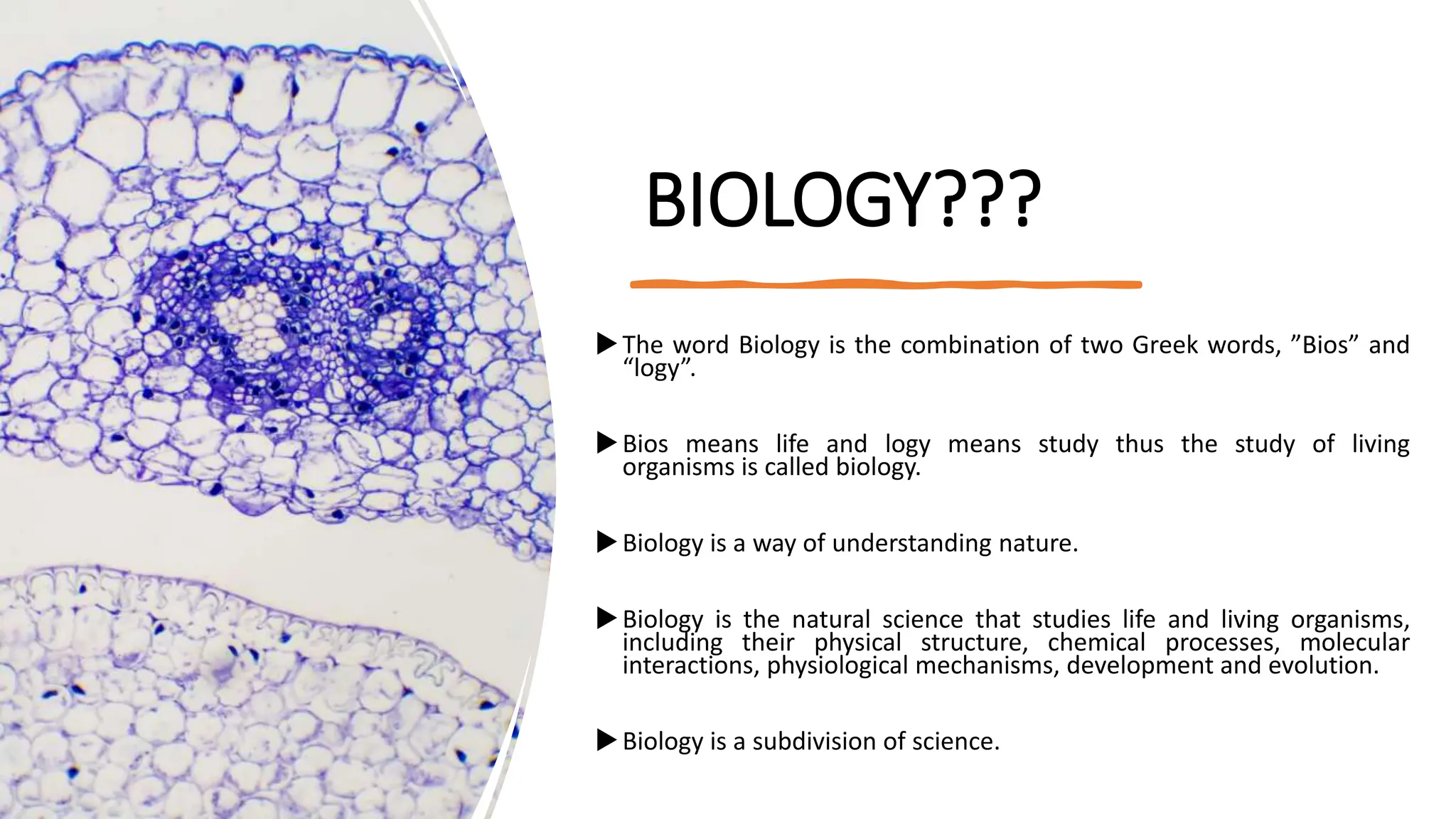 Basic concepts of biology Basic definition branches Main branches cell ...