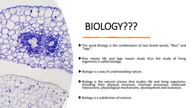Basic concepts of biology Basic definition branches Main branches cell ...