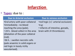 16 blood | PPT