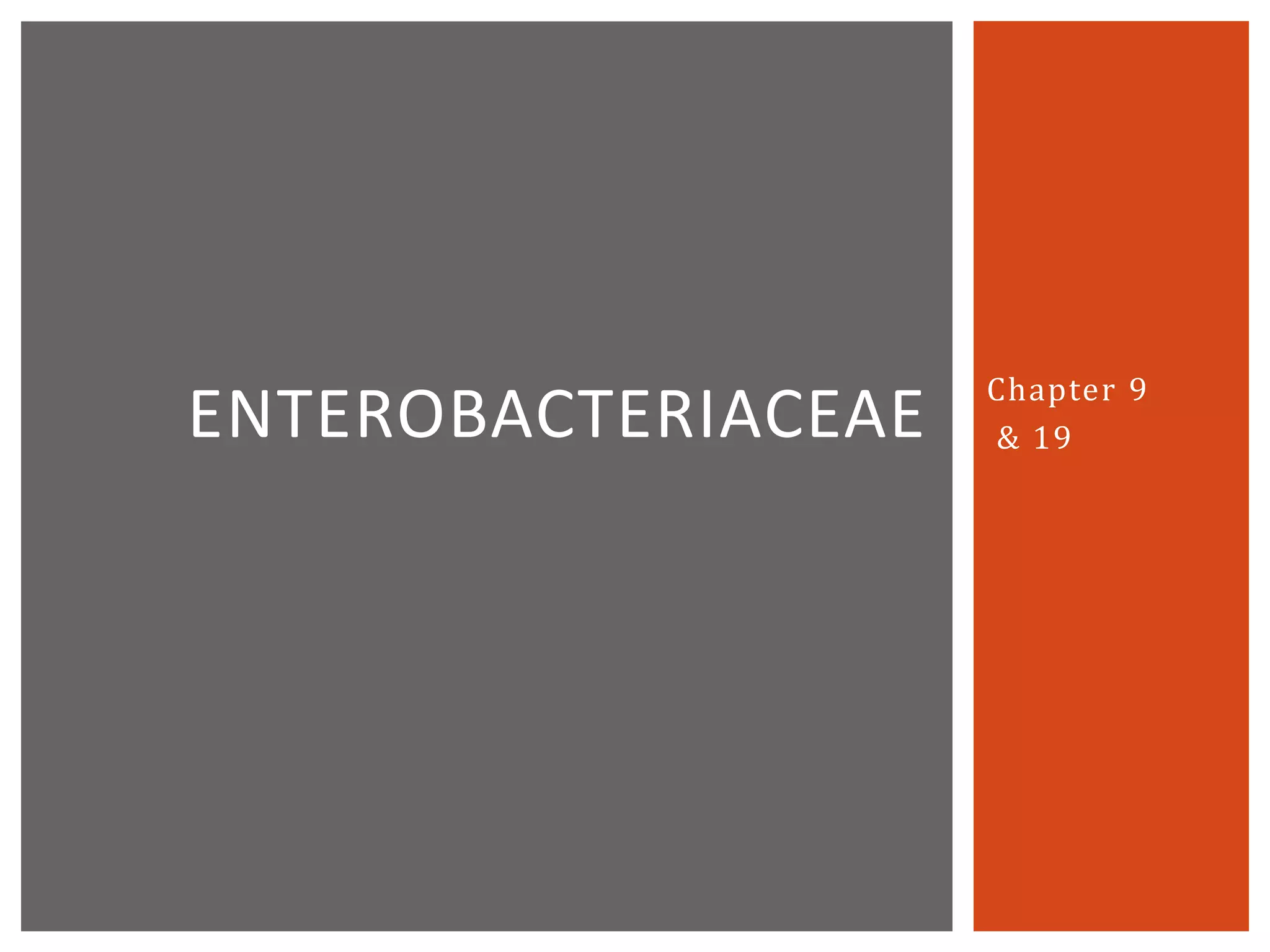 16 -chapter_19_-_enterobacteriaceae | PDF