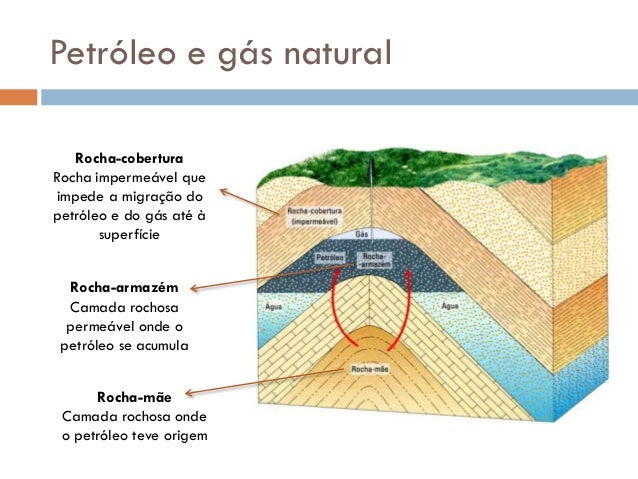 BioGeo11-classificação das rochas sedimentares