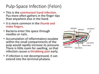 16-Clinical Anatomy of The Upper Limb - Dr Akalanka Jayasinghe.pdf
