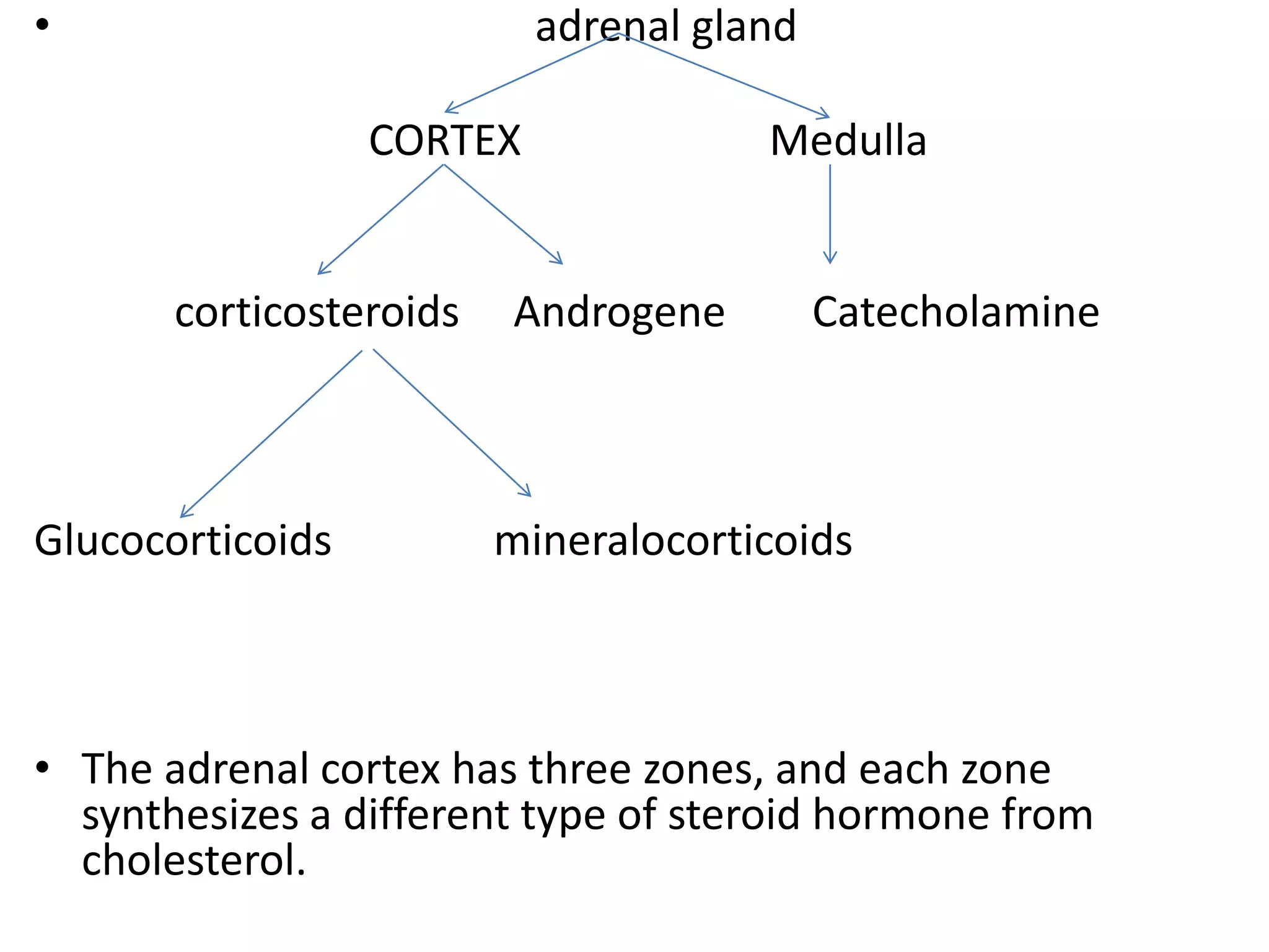 16-CORTICOSTEROIDS.ppt