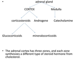 16-CORTICOSTEROIDS.ppt