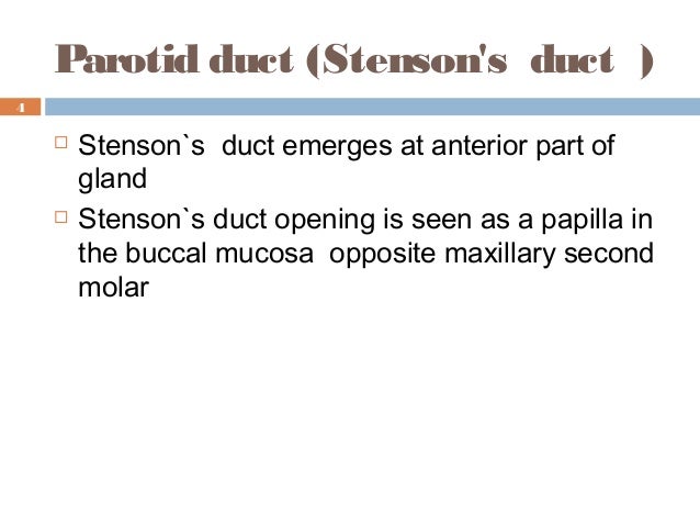 16 diseases of salivary glands