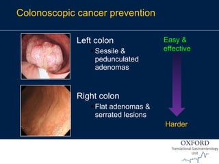Endoscopy in Gastrointestinal Oncology - Slide 16 - J. East ...