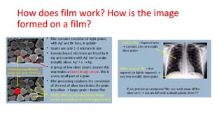 -Film.pdf