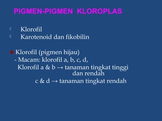 Proses Fotosintesis Pada Tumbuhan | PPT