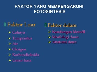 Proses Fotosintesis Pada Tumbuhan | PPT