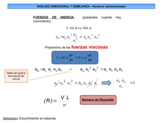 Homogeneidad Dimensional y Semejanza.pptx