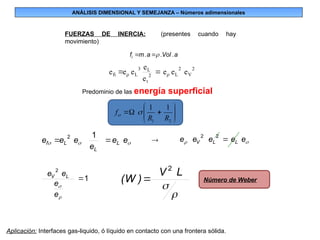 Homogeneidad Dimensional y Semejanza.pptx