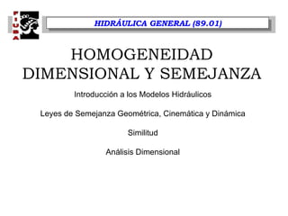 Homogeneidad Dimensional y Semejanza.pptx