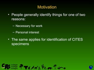Introduction to Identification | PPT