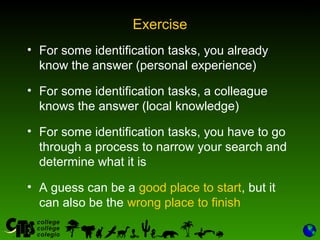 Introduction to Identification | PPT