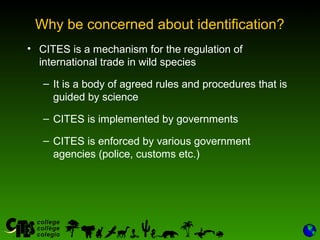 Introduction to Identification | PPT
