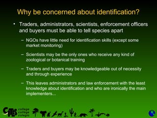 Introduction to Identification | PPT