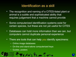 Introduction to Identification | PPT