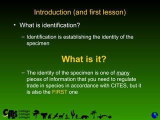 Introduction to Identification | PPT