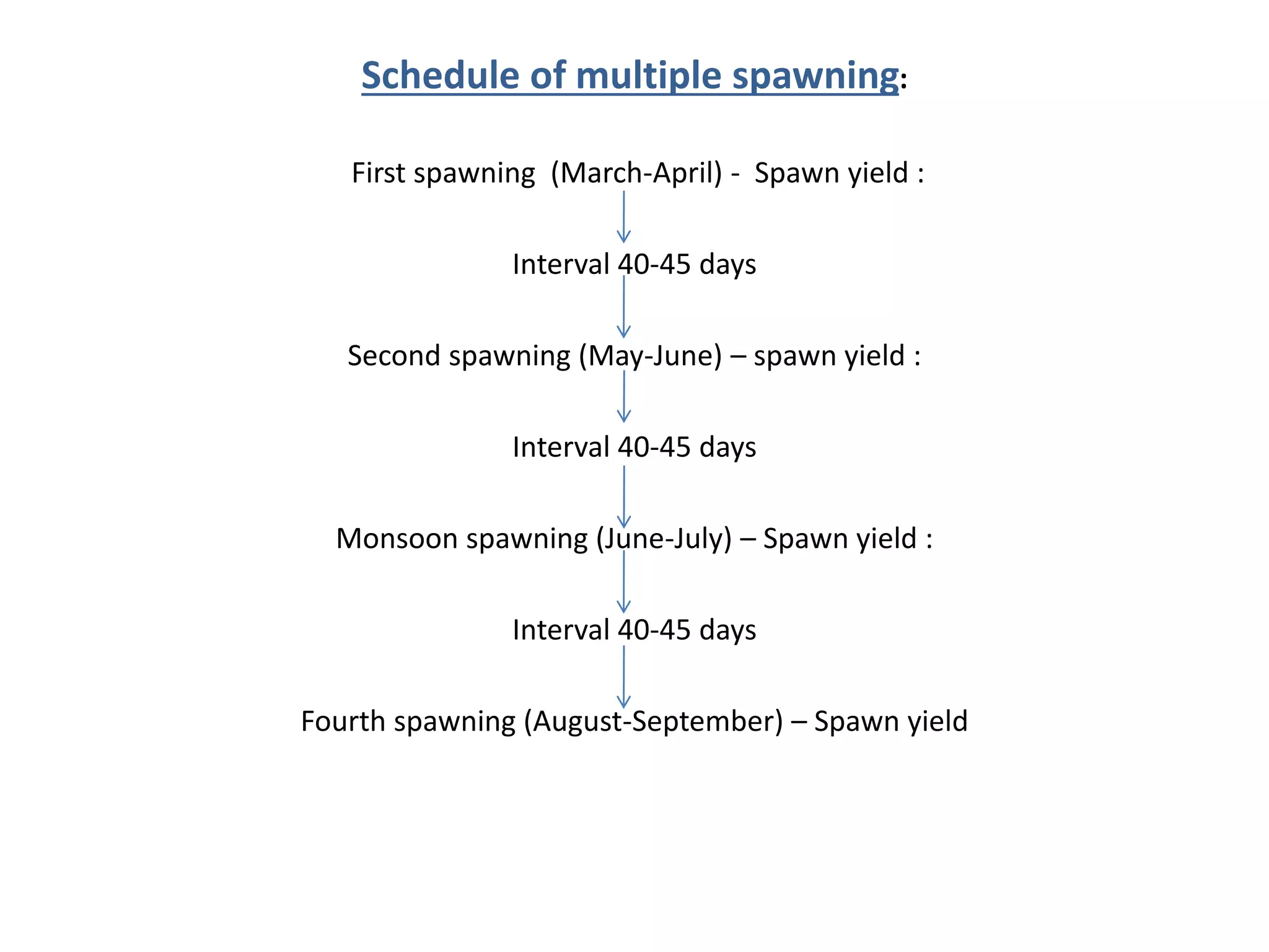 16 - Multiple spawning of fish.ppt