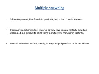 16 - Multiple spawning of fish.ppt