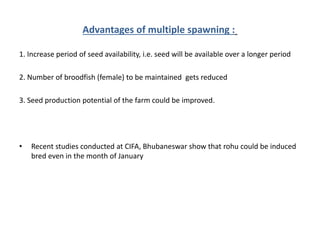 16 - Multiple spawning of fish.ppt | Fish and Aquariums | Pets