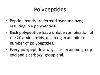 Proteins | PPT