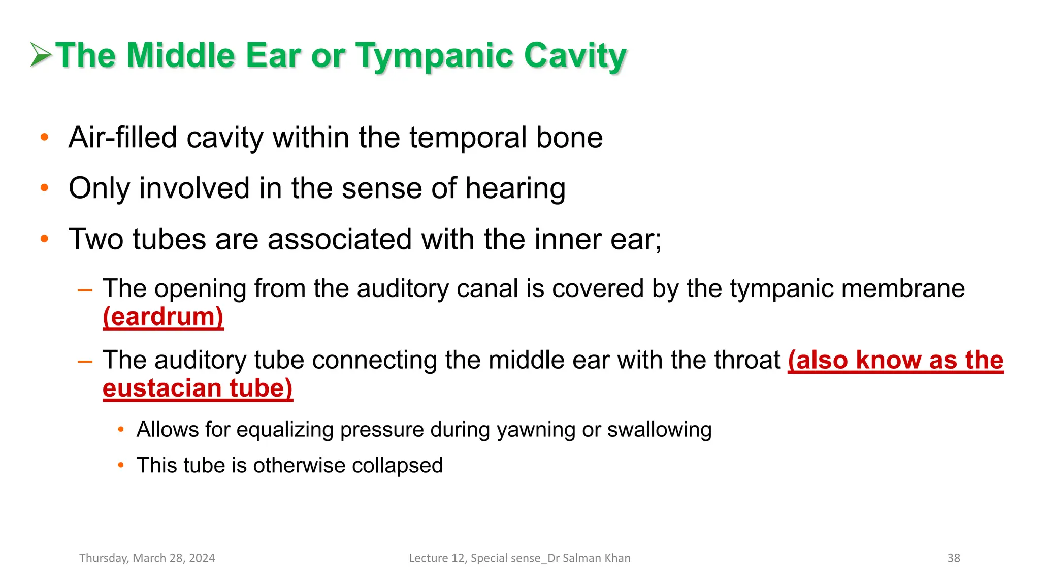 16-Special senses.pdf.physiology and anatomy | PDF