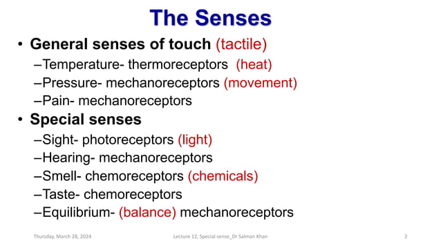 16-Special senses.pdf.physiology and anatomy | PPT