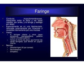 16. via-aerea-digestiva2009 | PDF