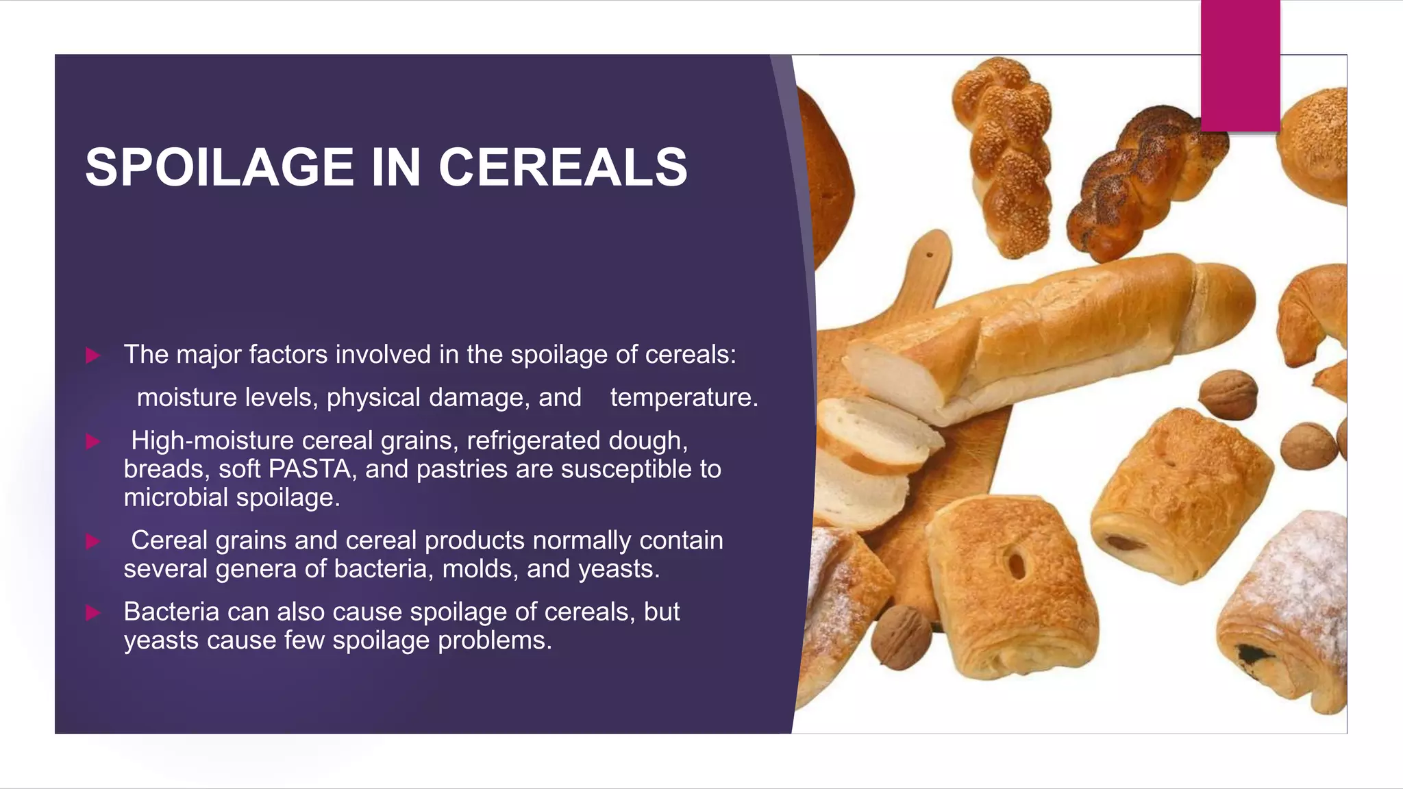 spoilage in cereals food microbiology | PPTX