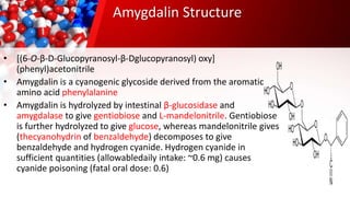 Amygdalin | PPTX