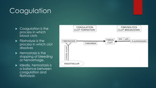 1600_approach_to_coagulopath.pdf