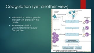 1600_approach_to_coagulopath.pdf